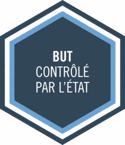 Les Bachelors Universitaires de Technologie (BUT) - Nantes Université